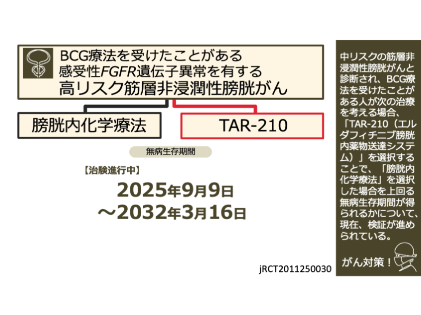 日本がん対策図鑑 | 【FGFR陽性筋層非浸潤性膀胱がん：二次治療（DFS）】「TAR-210」vs「膀胱内化学療法」